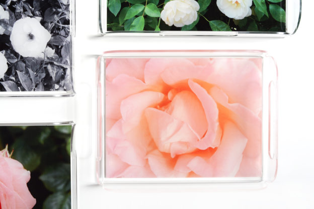 Lemon Thyme Shortbread and Garden Rose Trays | Oleander + Palm