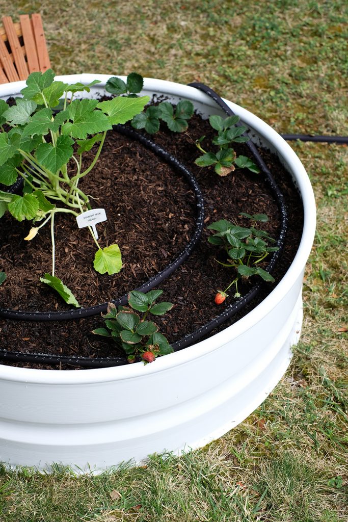 DIY Round Raised Garden Beds | Oleander + Palm