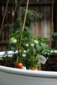 DIY Round Raised Garden Beds | Oleander + Palm