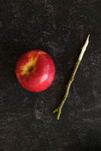 Spooky White Caramel Apples | Oleander + Palm
